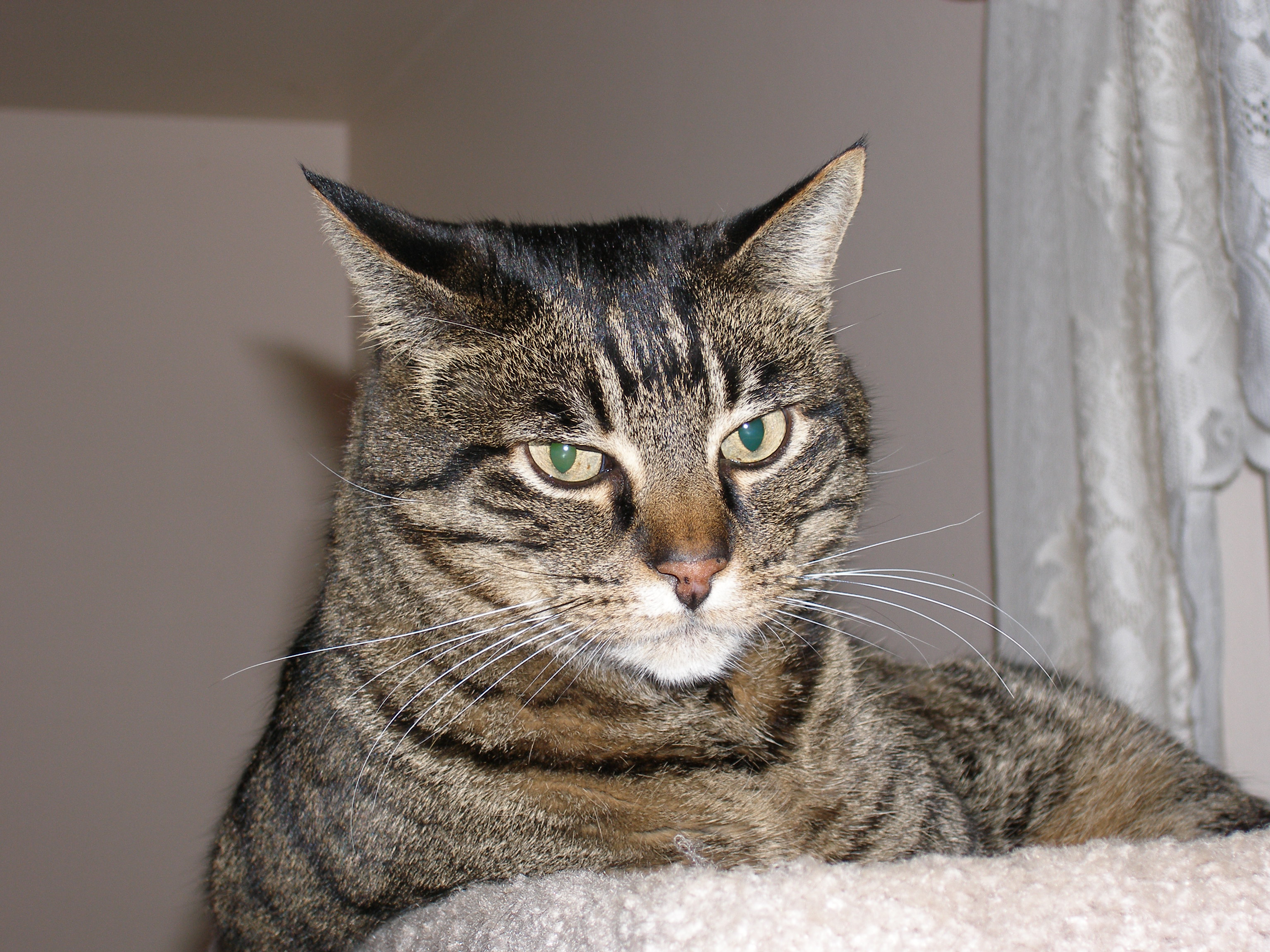 Concupiscence – Theological Geography